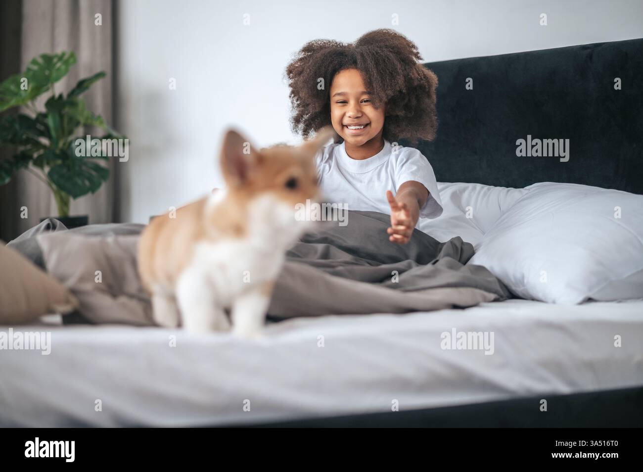 Pet. A cute kid playing with a puppy and feeling excited Stock Photo ...