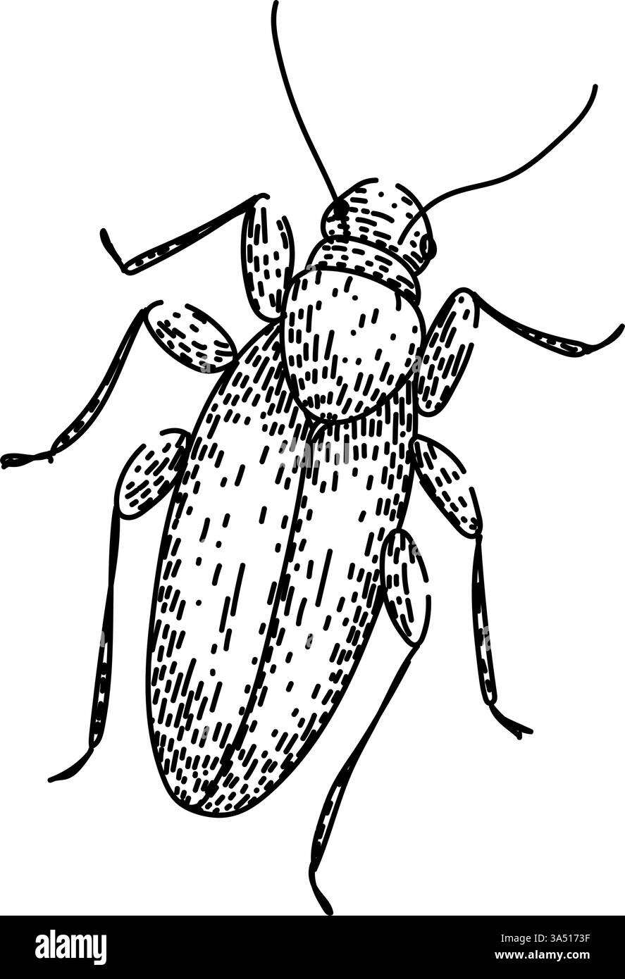 Species extermination hi-res stock photography and images - Alamy