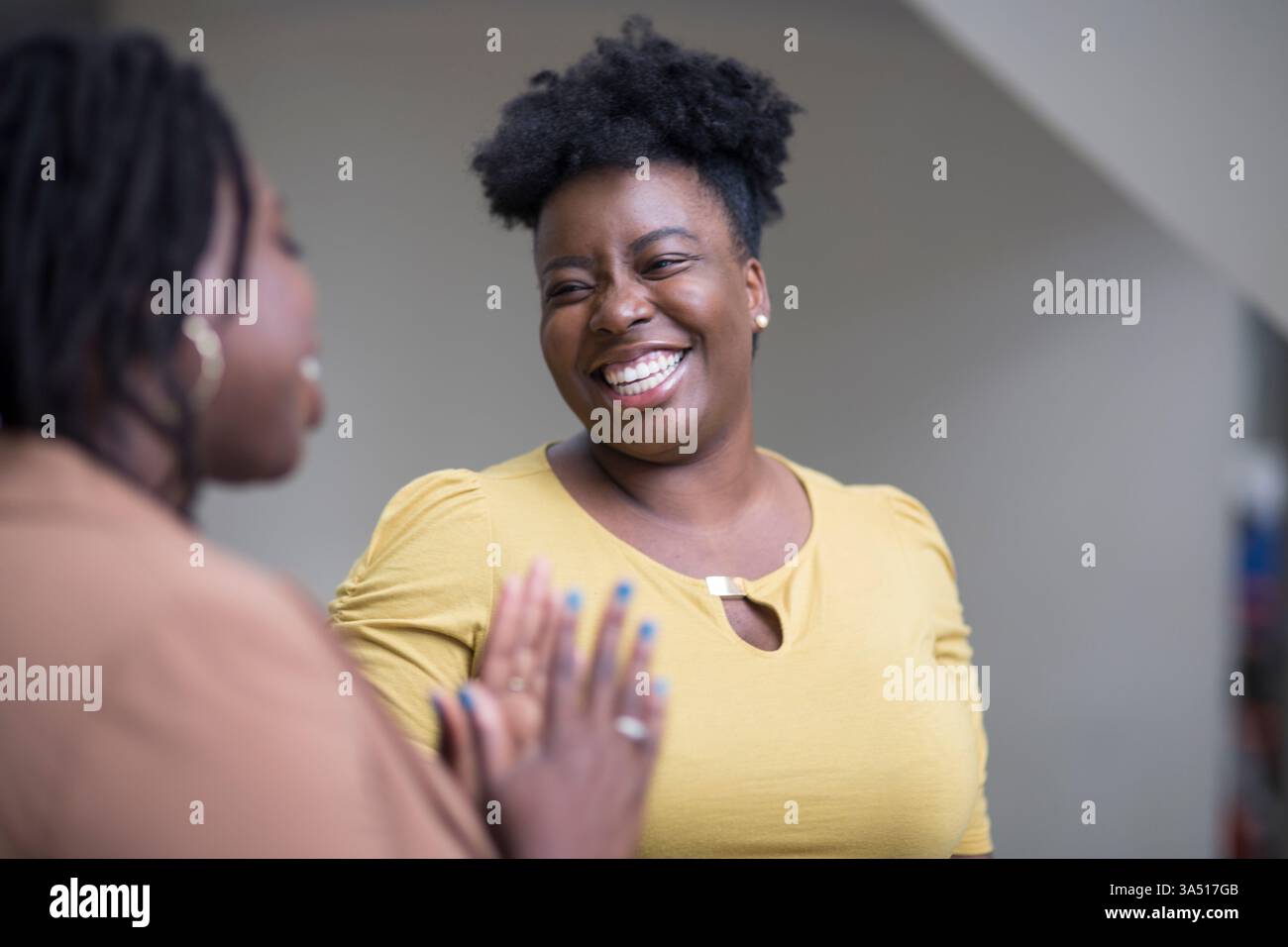 Two smiling African American women having a conversation with each ...