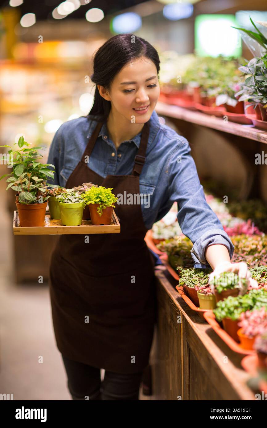 Chinese woman arranging potted plants standing in plant shop Stock ...