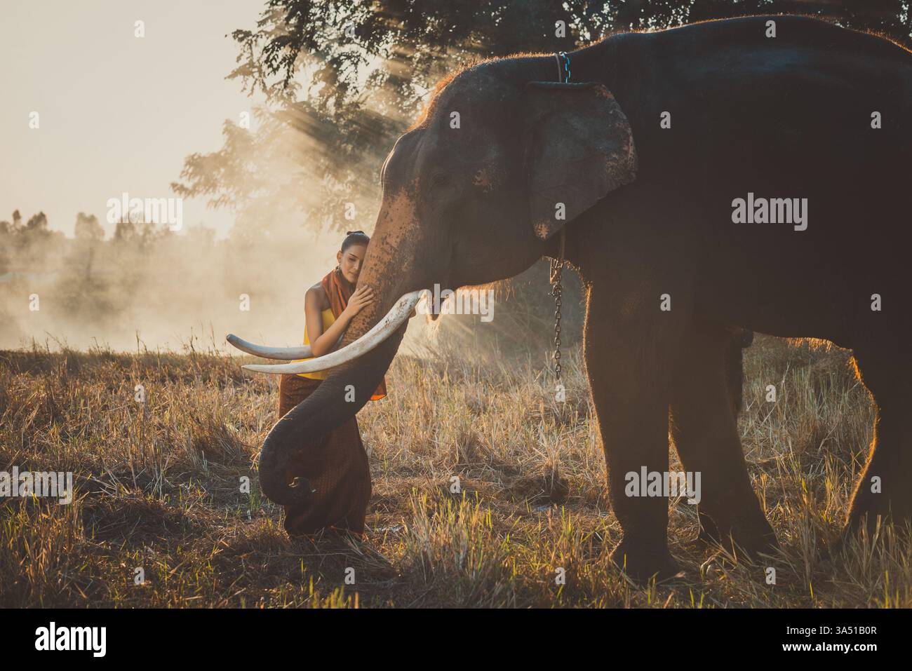 Smiling Asian female leaning and hugging elephant trunk standing on ...