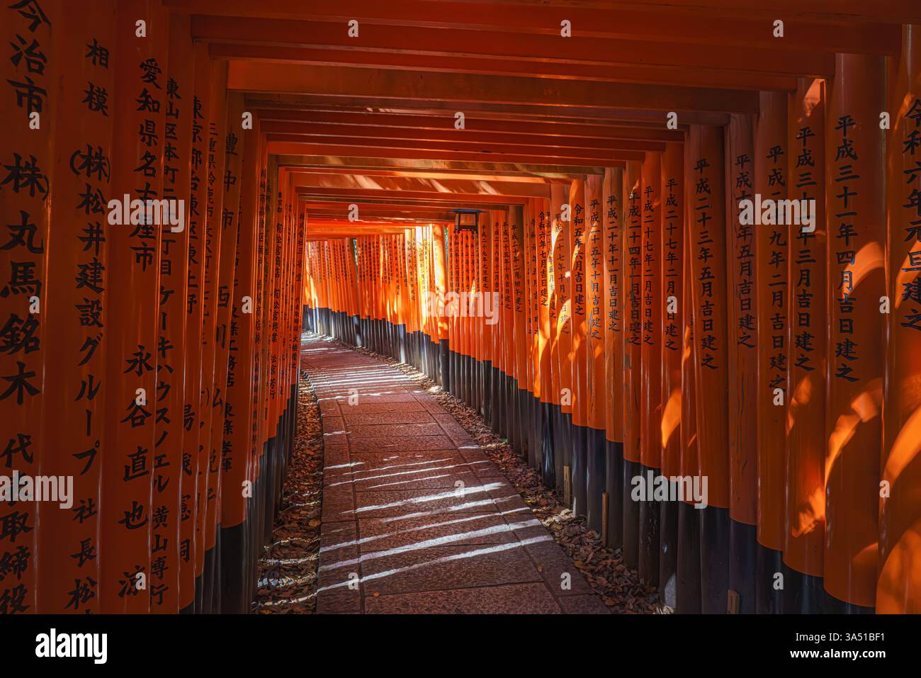 Kyoto, Japan - Sep 23 2024, Panoramic view of the corridor of the ...