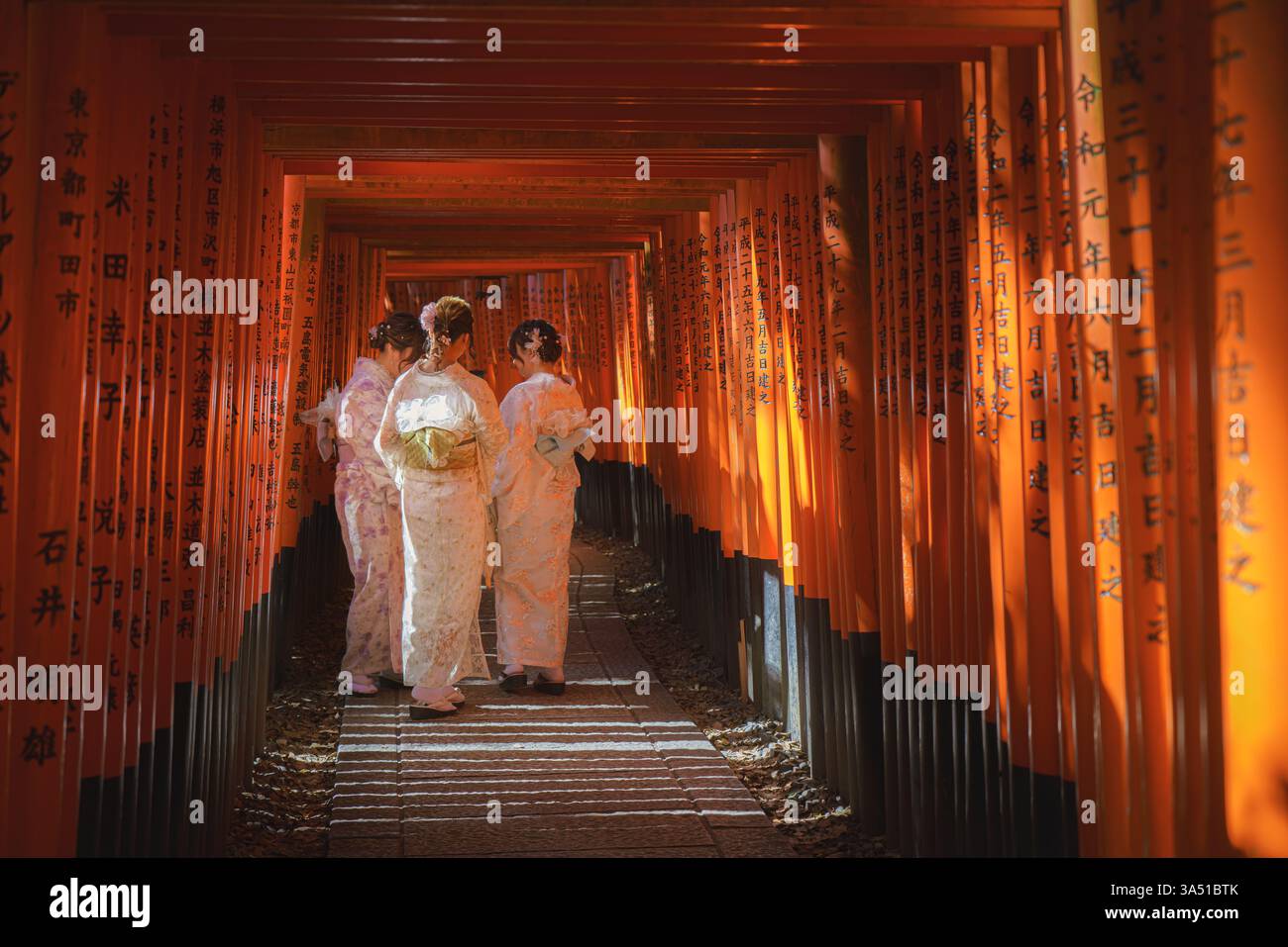 Kyoto, Japan - Sep 23 2024, panoramic view of the corridor of the red ...