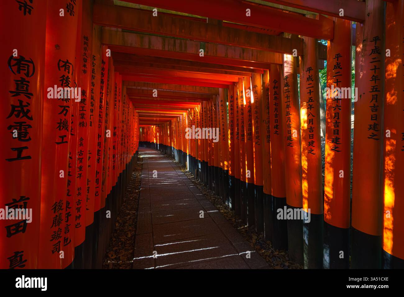 Kyoto, Japan - Sep 23 2024, Panoramic view of the corridor of the ...