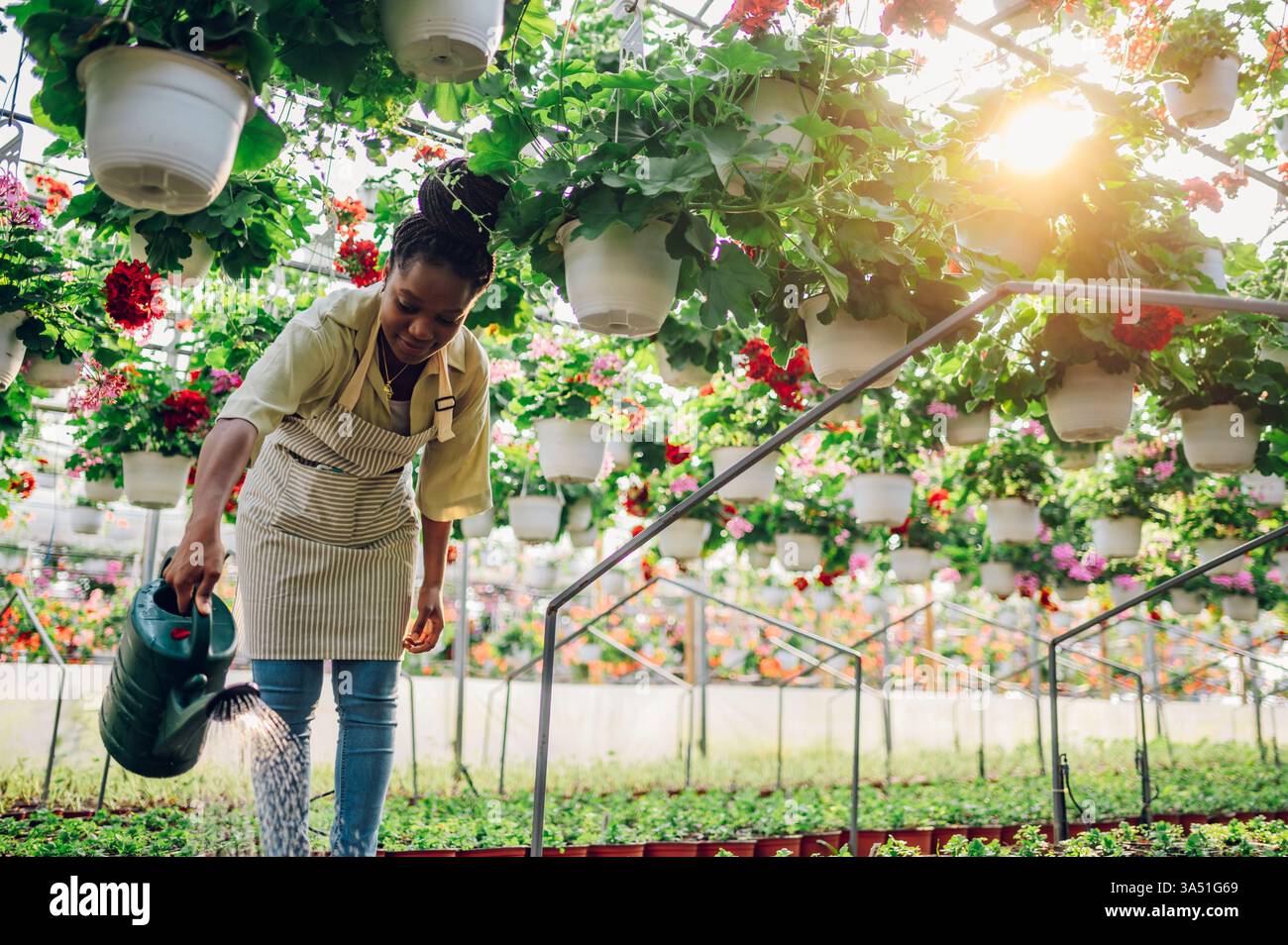Successful african american female owner of greenhouse controlling ...