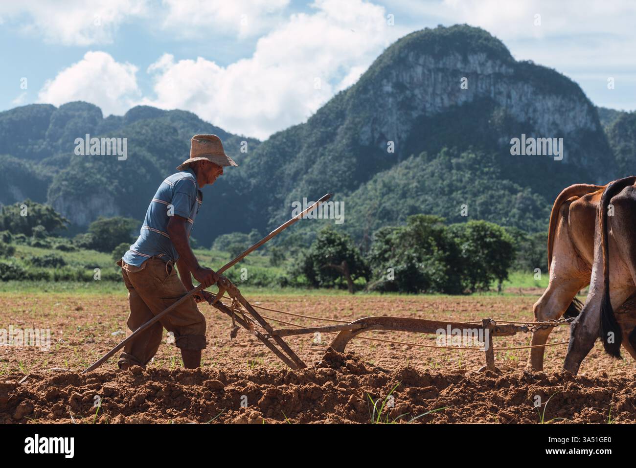 Hispanic man cultivating land hi-res stock photography and images - Alamy