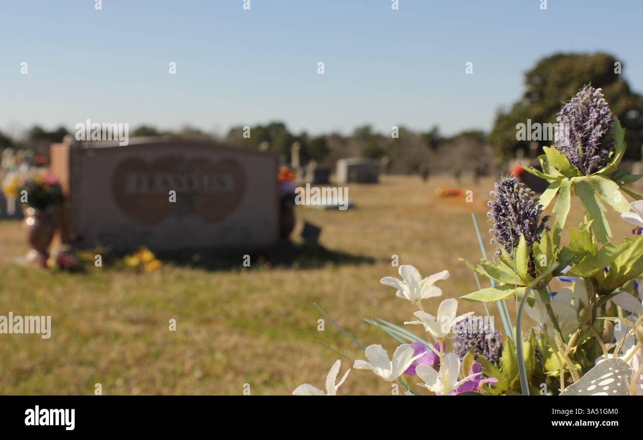 Historic Elkins Cemetery In Omen TX Stock Photo - Alamy