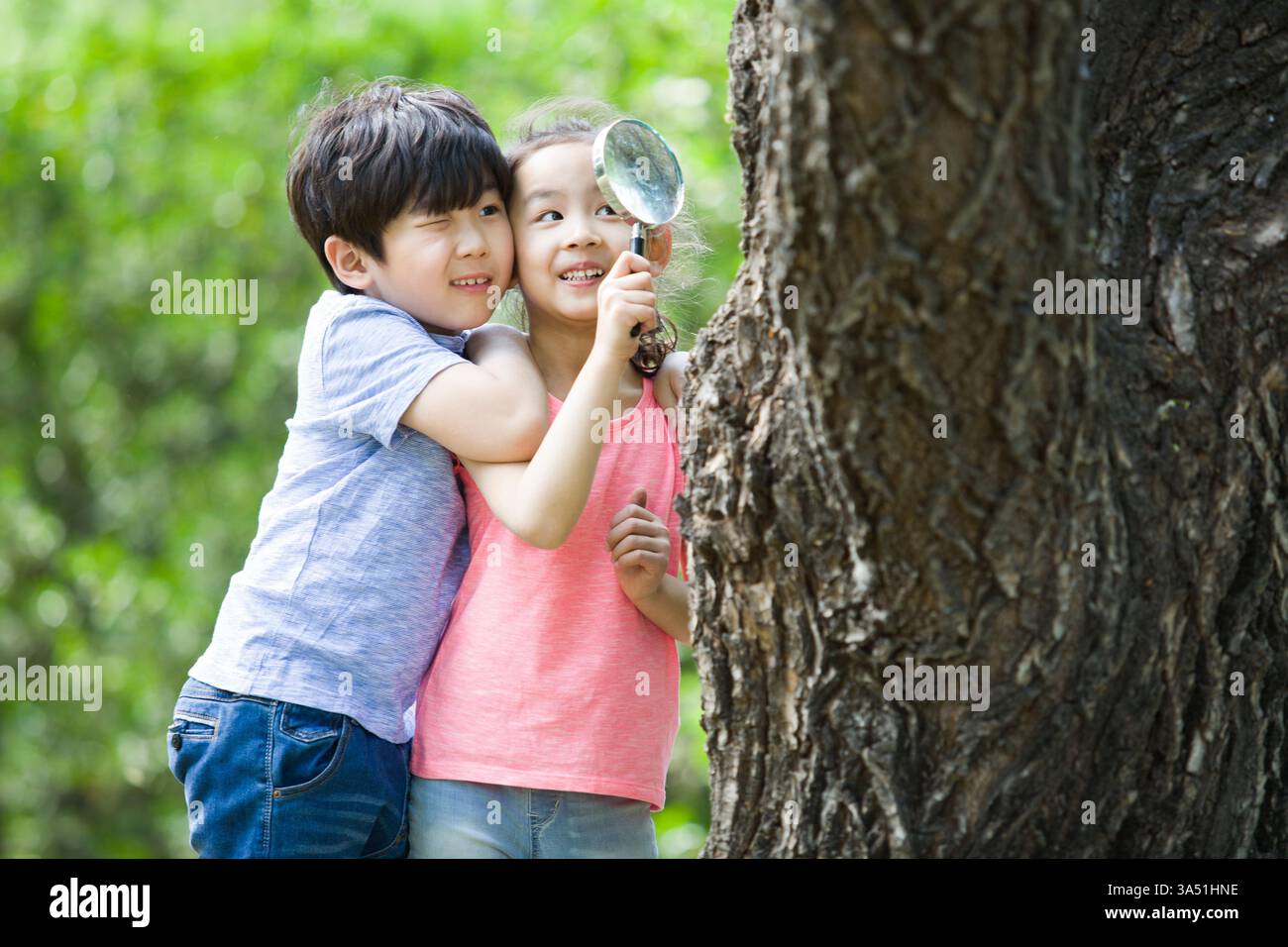 Children playing around tree hi-res stock photography and images - Alamy