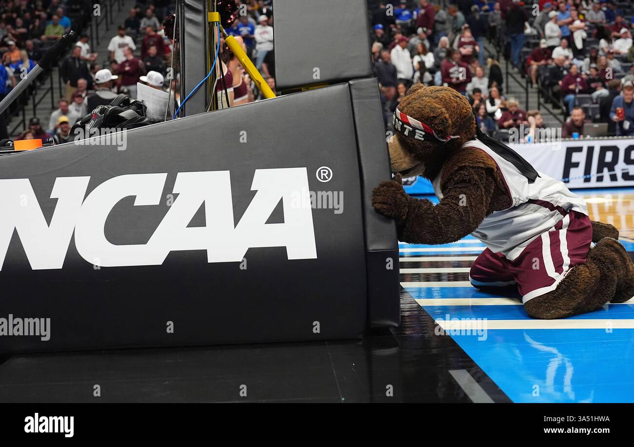 Monte, the University of Montana mascot, kisses the standard before the ...