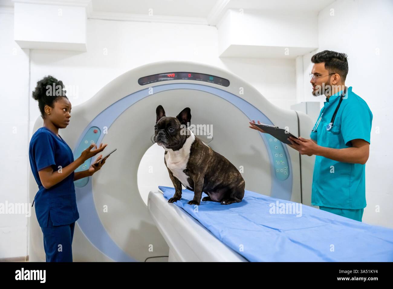 Before procedure. Veterinarians working in the clinic on MRI apparatus ...