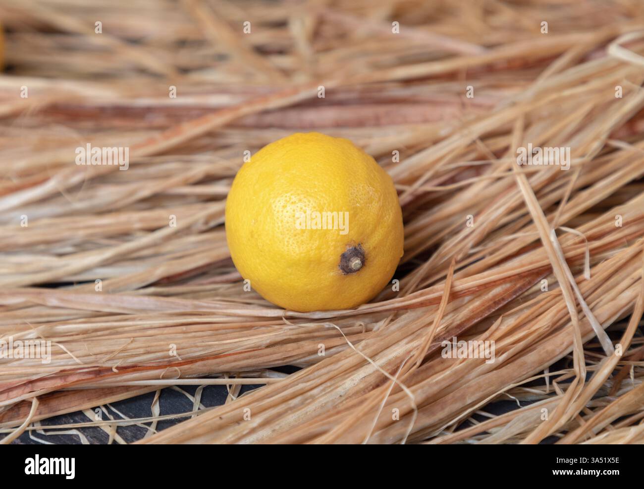 A fresh lemon on decorative texture Stock Photo - Alamy