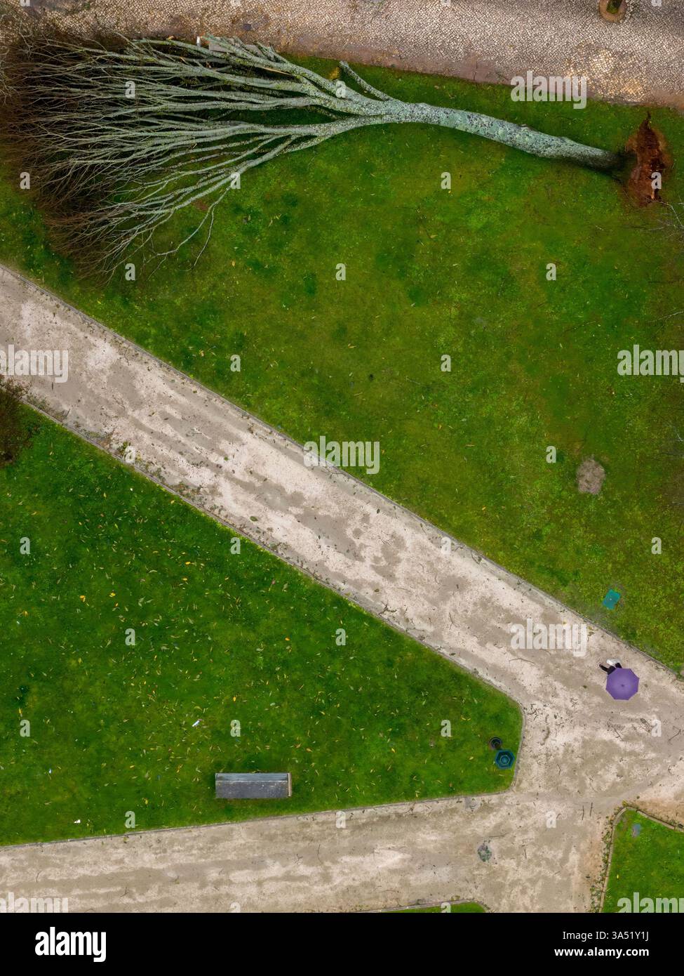 Storm Martinho battered continental Portugal on the night of March 19 ...