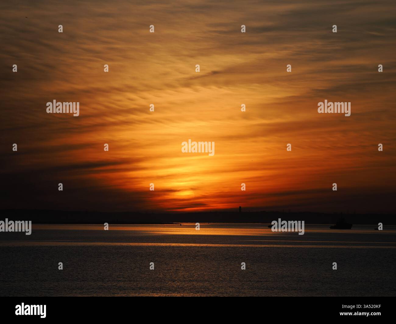 Queenborough, Kent, UK. 20th Mar, 2025. UK Weather: stunning spring ...