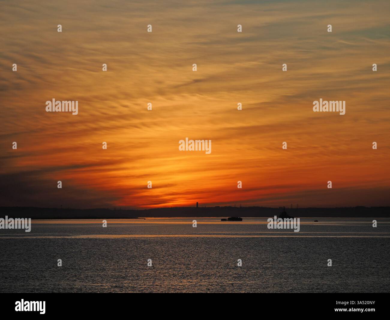 Queenborough, Kent, UK. 20th Mar, 2025. UK Weather: stunning spring ...