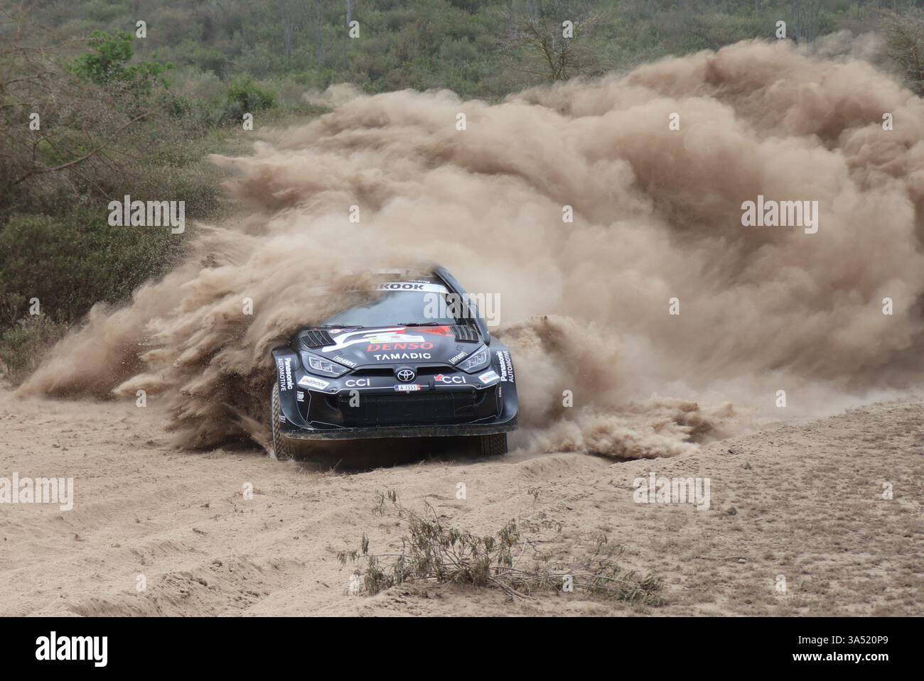Irish rally drivers Josh Mcerlean, Eoin Treacy with car Ford Puma ...
