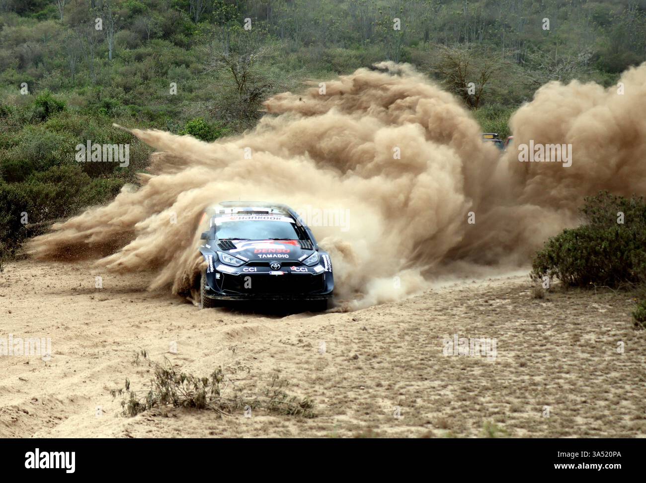 Irish rally drivers Josh Mcerlean, Eoin Treacy with car Ford Puma ...