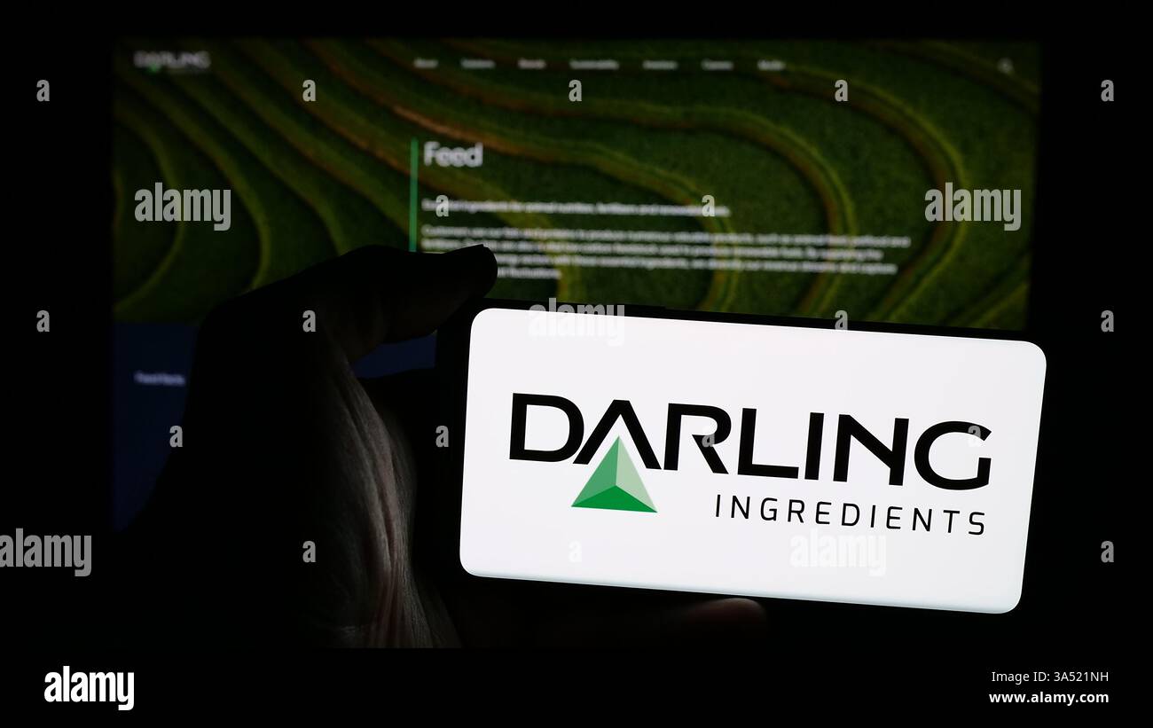 Dar business logo hi-res stock photography and images - Alamy