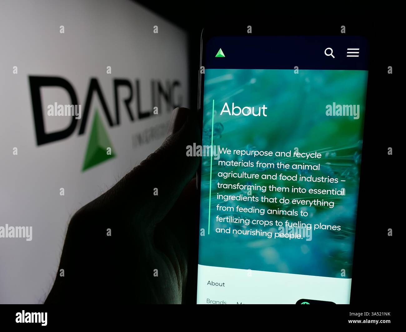 Person holding cellphone with webpage of US ingredient company Darling ...