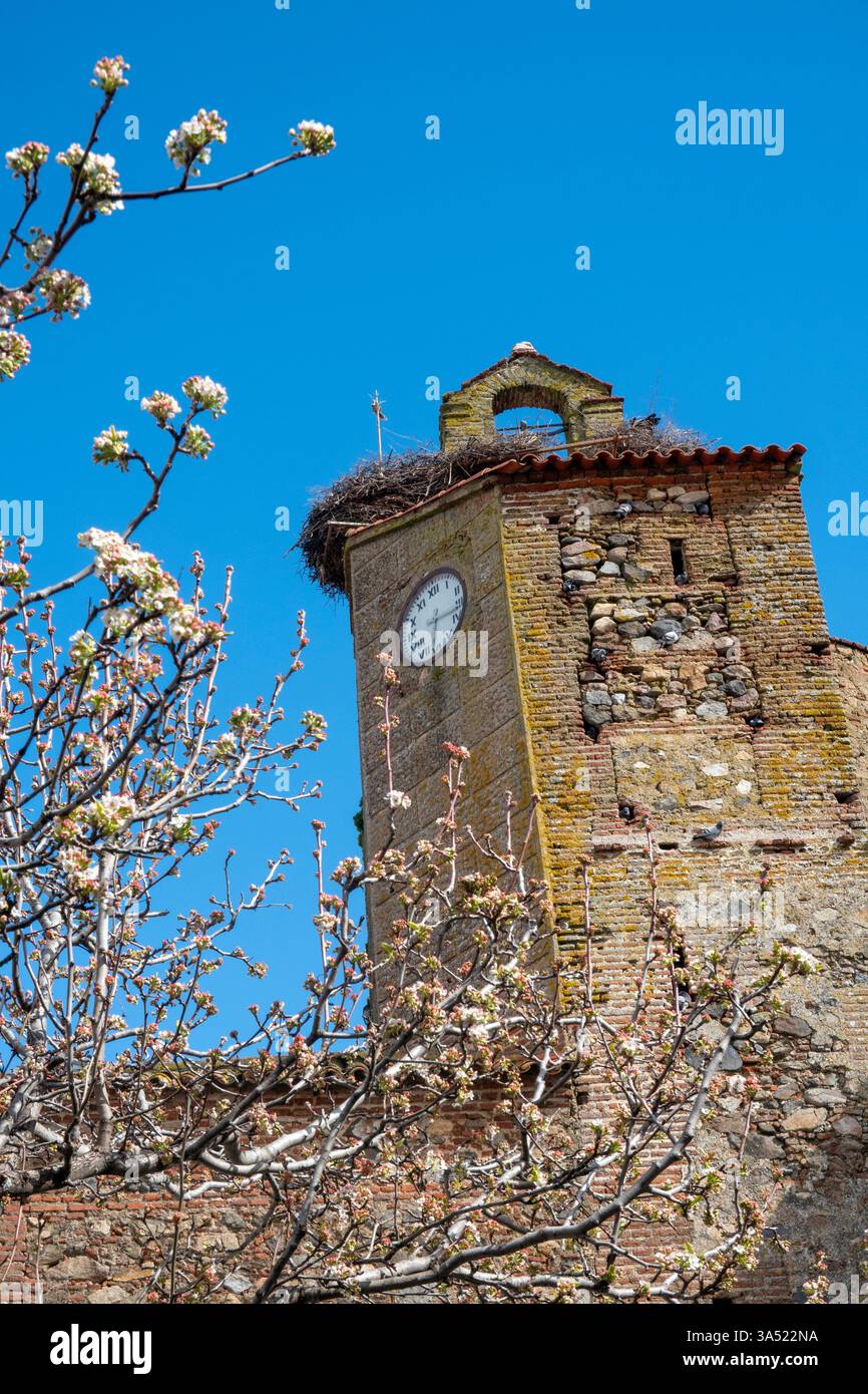 The Church of St. Peter the Apostle, located in Monesterio, Badajoz, is ...