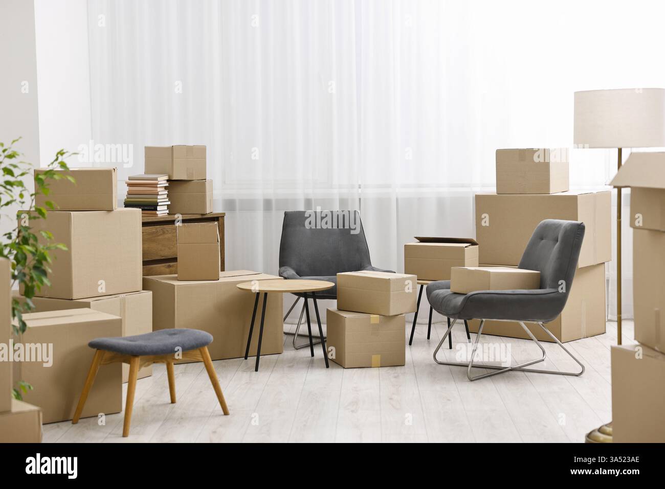 Furniture houseplant cardboard boxes hi-res stock photography and ...