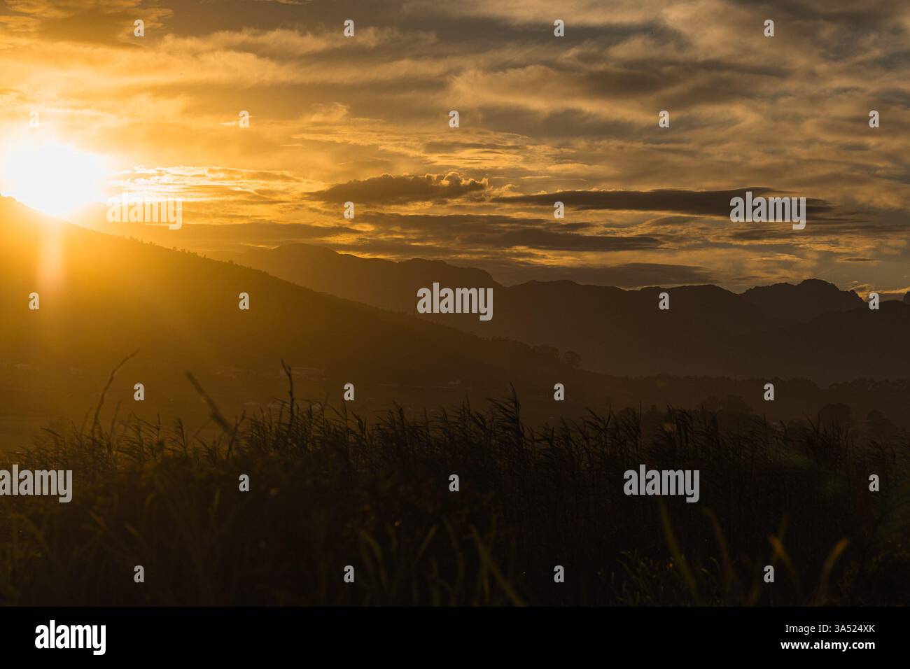 Early morning in the plains of south africa close to Paarl and ...