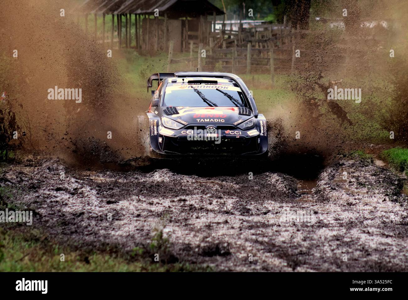 Finnish rally drivers Kalle Rovampera, Jonne Halttunen with car Toyota ...