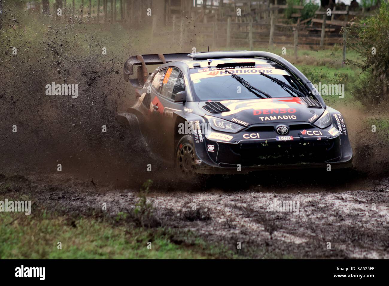 Finnish rally drivers Kalle Rovampera, Jonne Halttunen with car Toyota ...