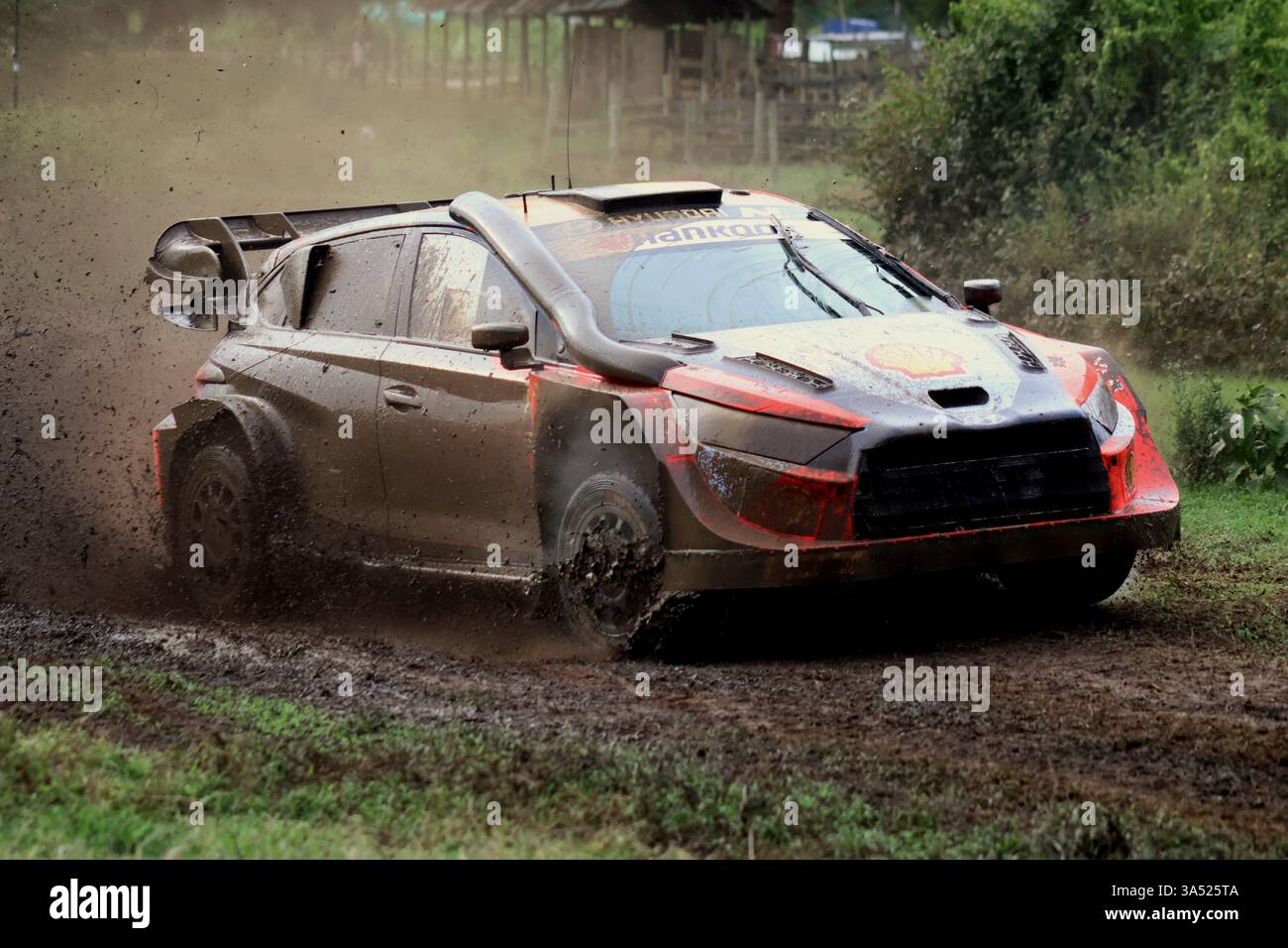 Belgian rally drivers Thierry Neuville, Martijn Wydaeghe with car ...