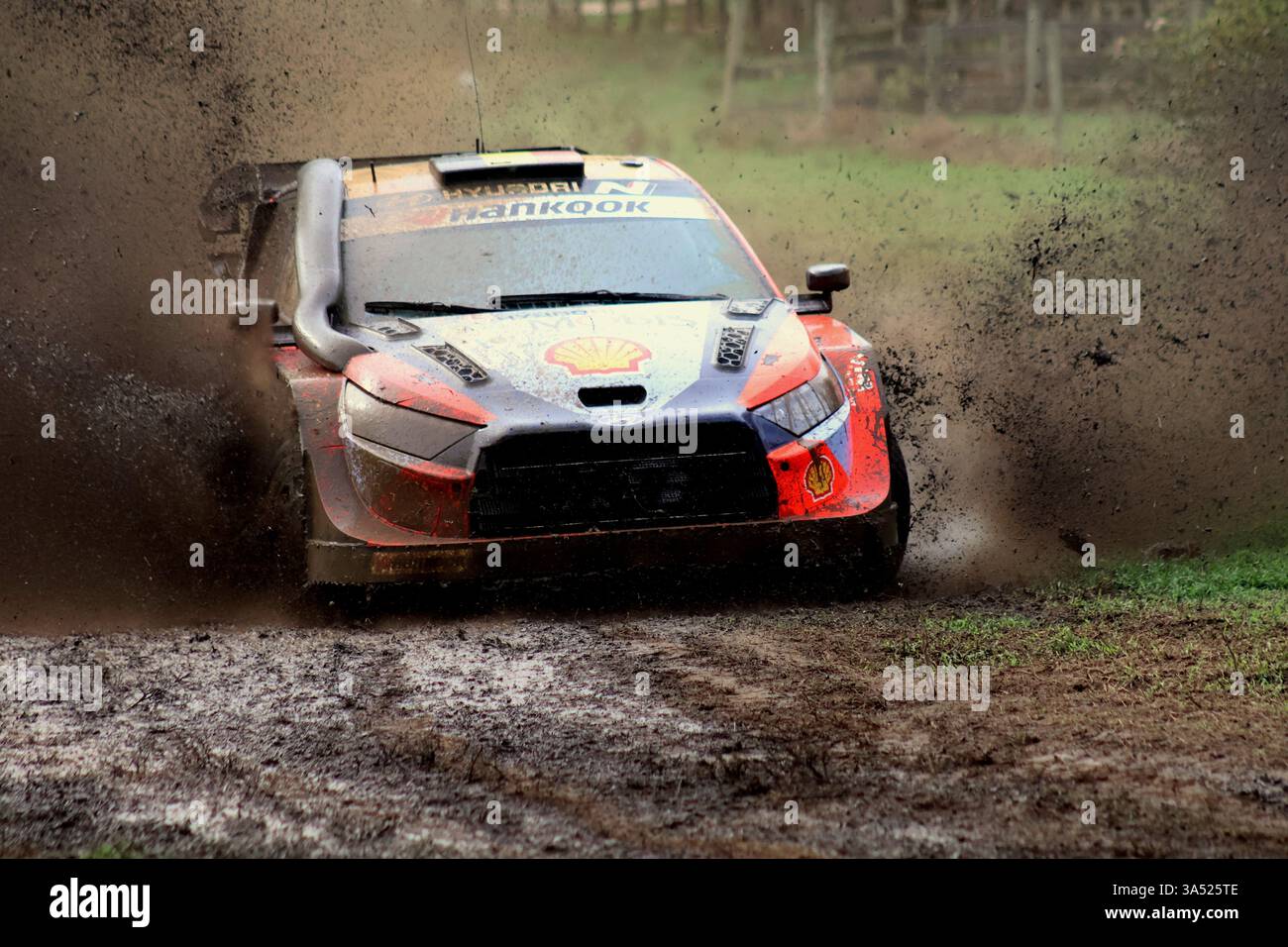 Belgian rally drivers Thierry Neuville, Martijn Wydaeghe with car ...