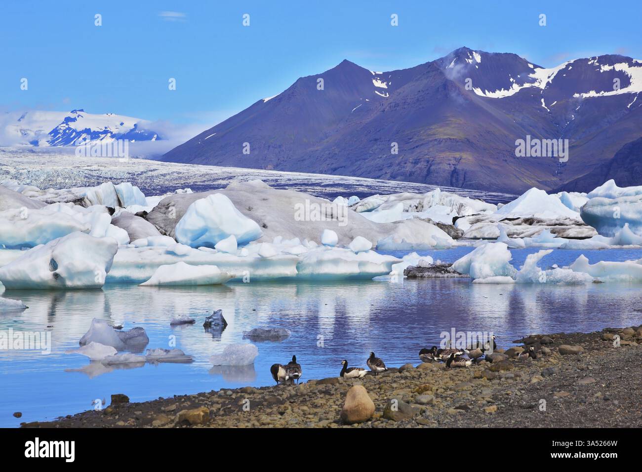 Joekulsarlon Glacial Lagoon in Iceland. Drifting ice floes and flying ...