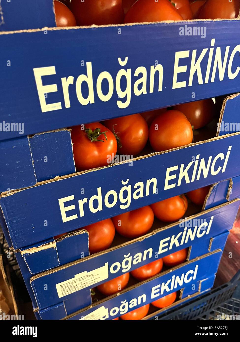 tomatoes, Erdogan EKINCI, Turkey, Turkish, vegetables, warehouse ...