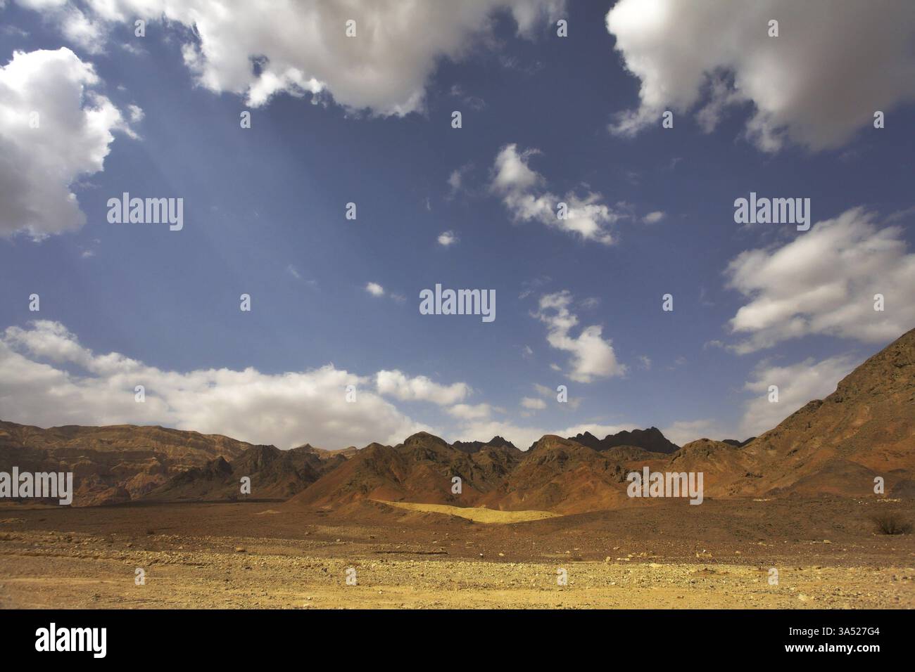 Multi-coloured hills from sandstone in desert Sinai Stock Photo - Alamy