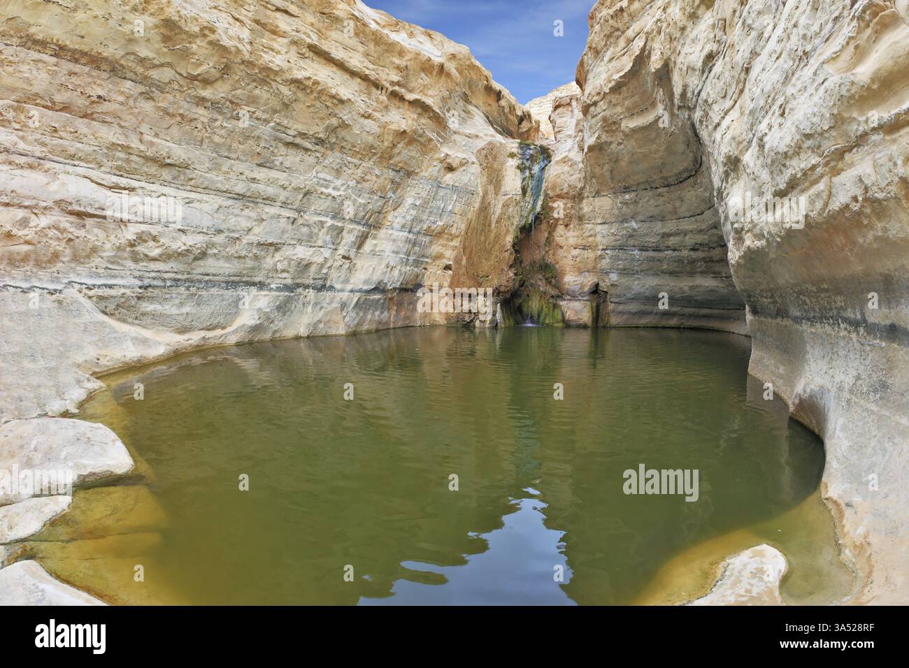 Canyon Ein Avdat in Israel. Sandstone canyon walls form round bowl ...