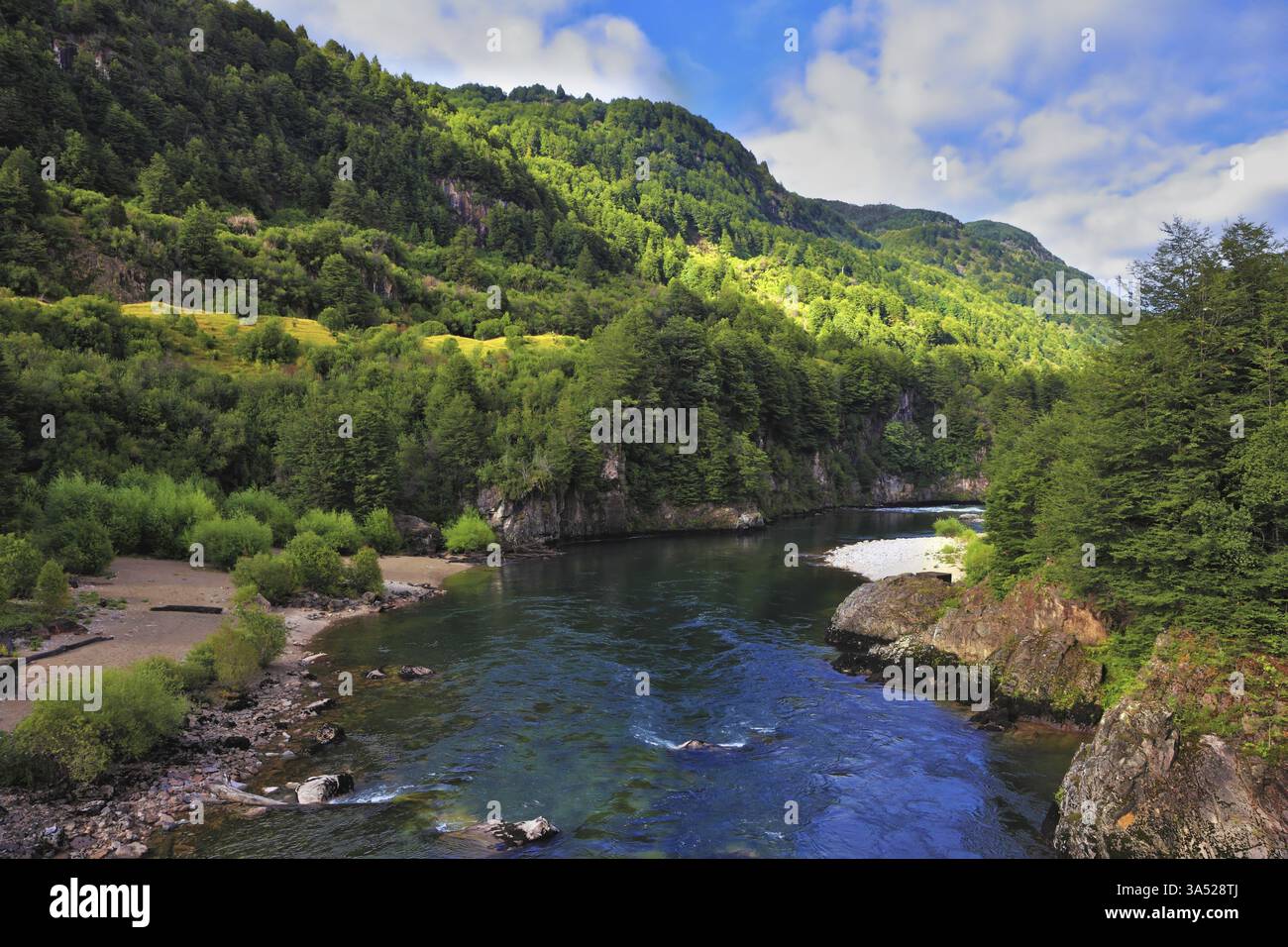 Quick creek with cold and clean water. The creek flows through dense ...