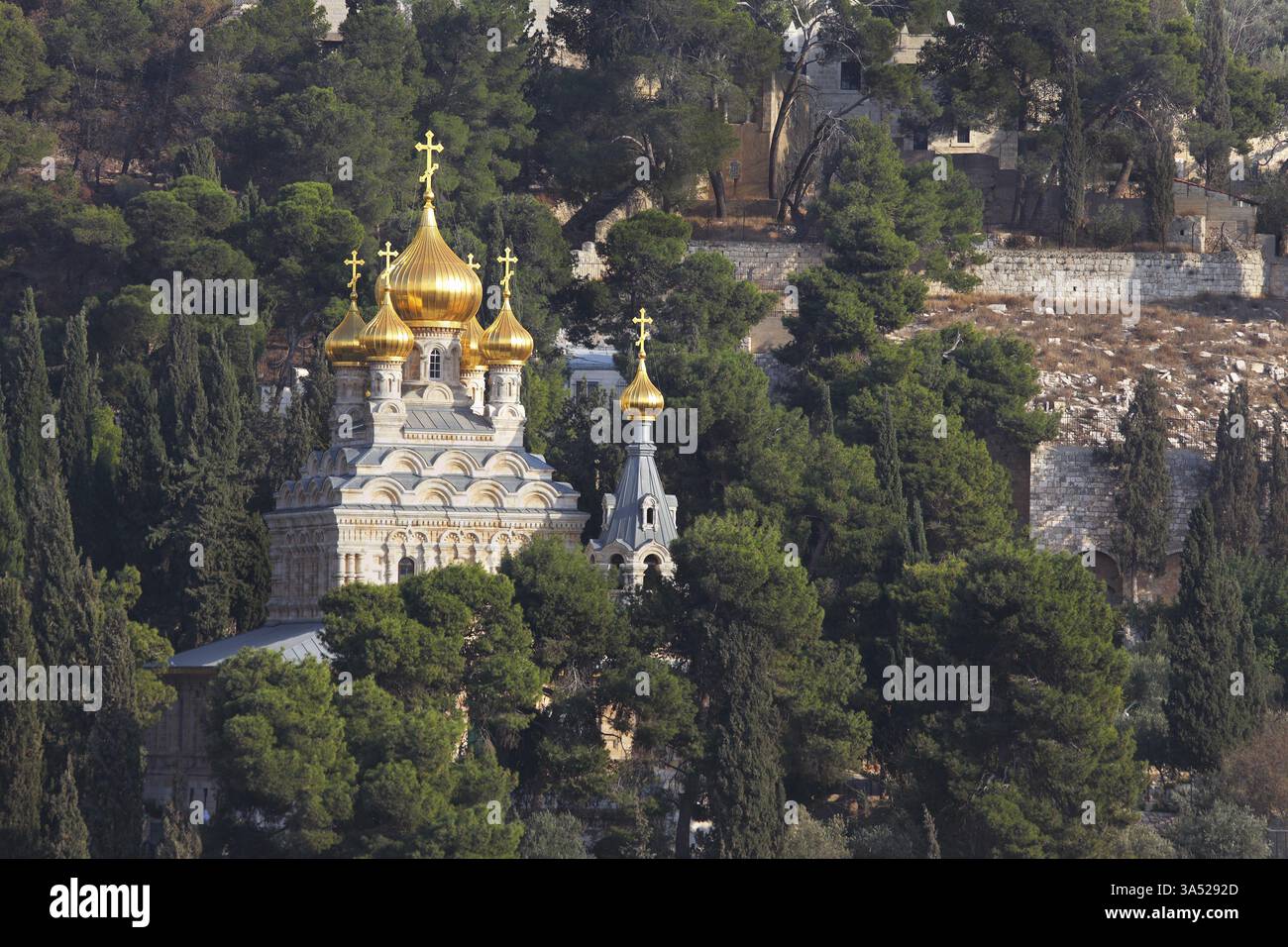 Golden domes of the Church of Mary Magdalene and cypresses. Mount of ...