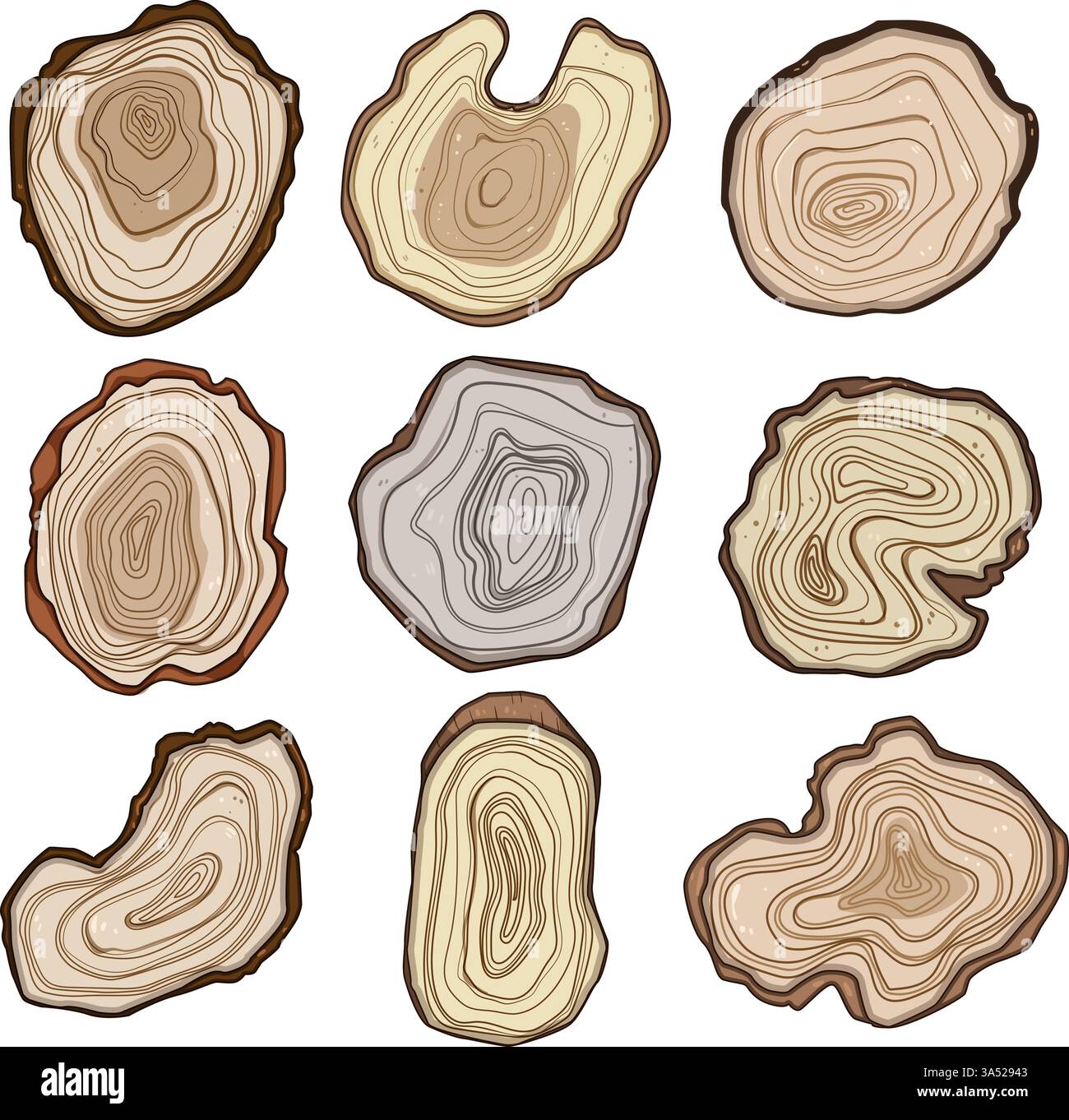 tree rings set cartoon vector illustration Stock Vector Image & Art - Alamy