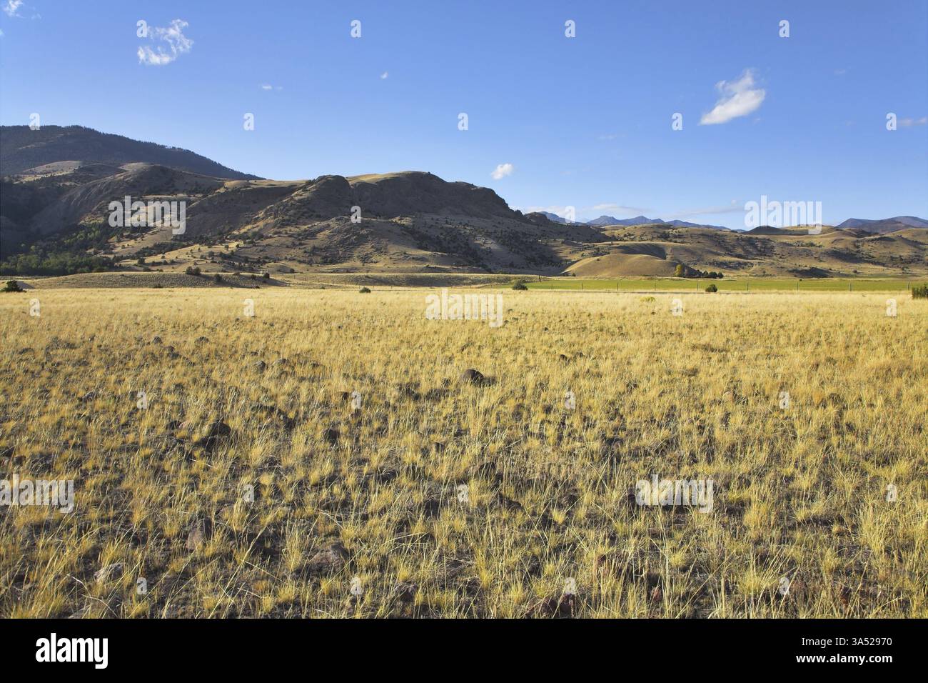 American ranches hi-res stock photography and images - Alamy