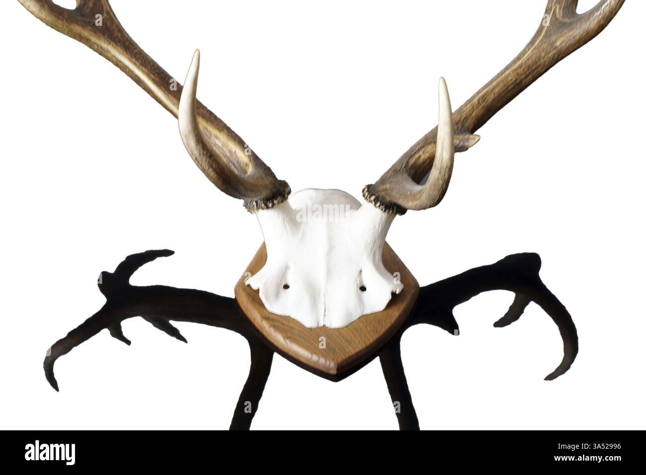 People with antlers Cut Out Stock Images & Pictures - Alamy