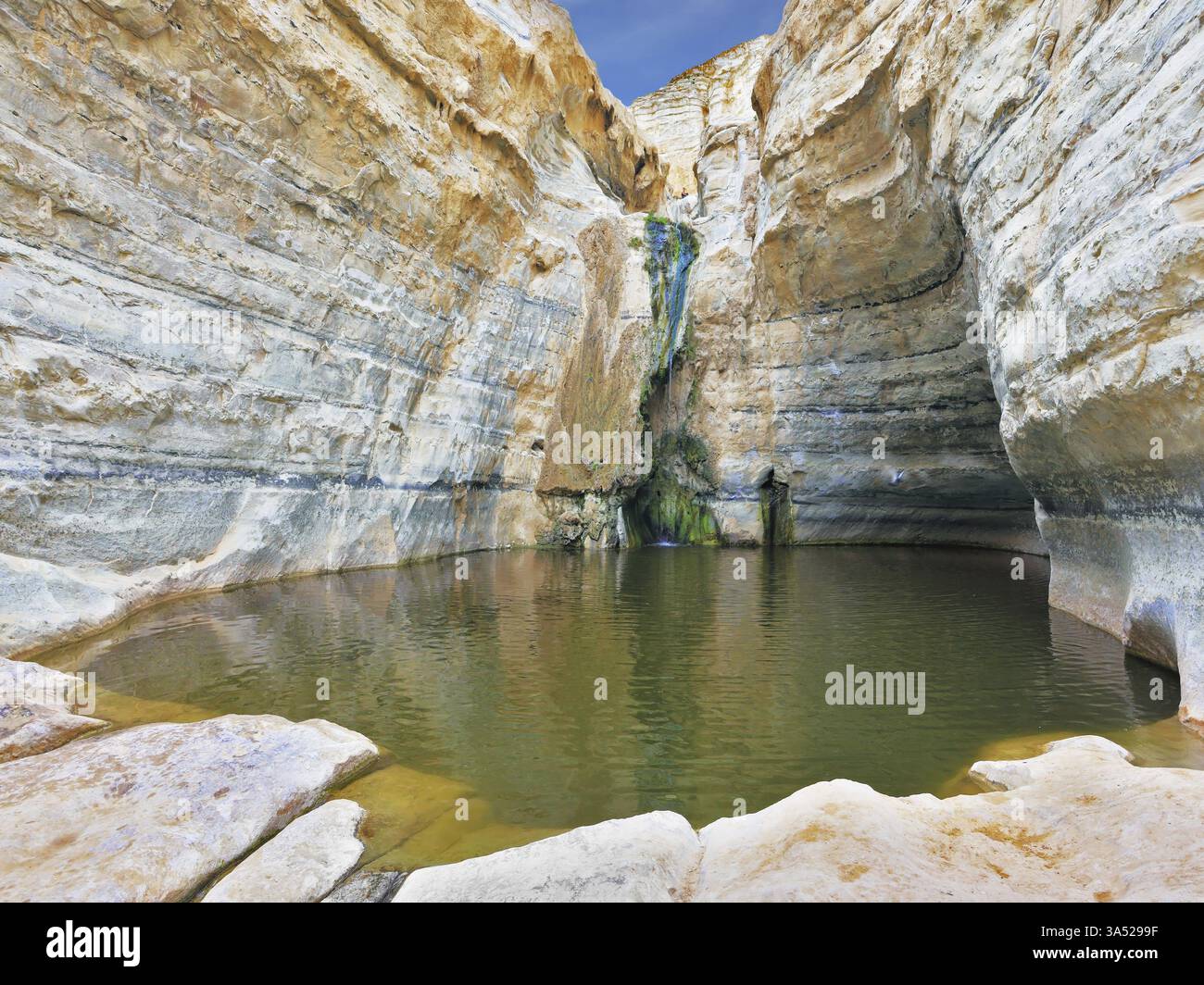 Canyon Ein Avdat in Israel. Thin jet waterfall form cold lake ...