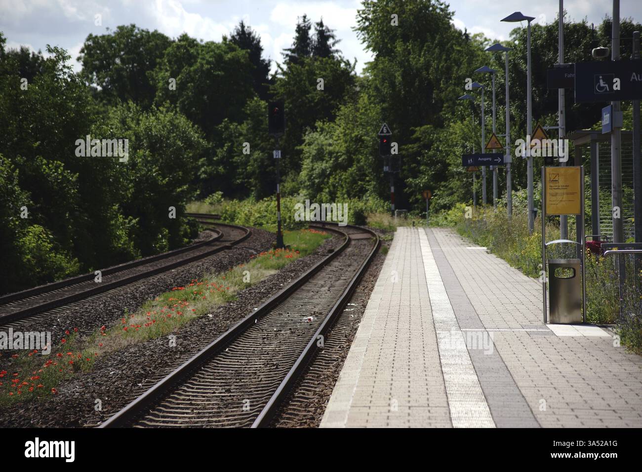 A flower meadow with poppies between the railway tracks of a village ...