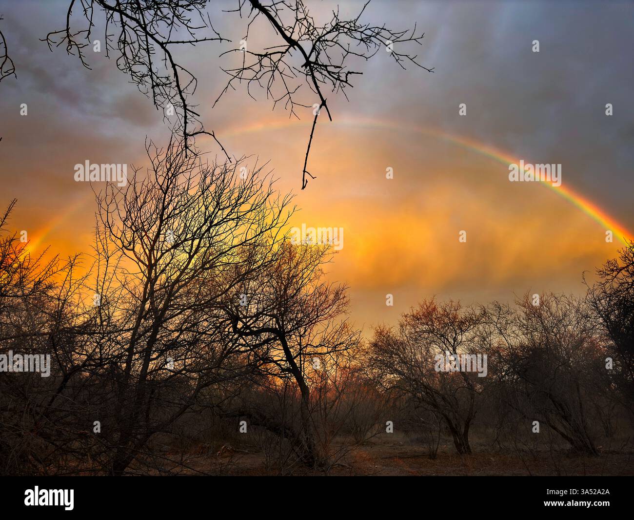 Spectacular rainbow in dramatic smartphone stock photos and images - Alamy
