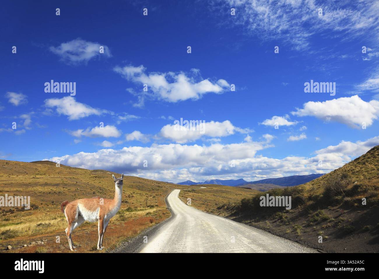 Magic country Patagonia. Gravel road between the mountains and trusting ...
