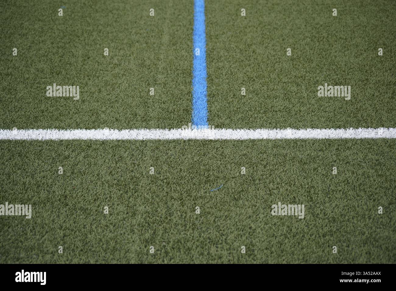 The green turf of a football pitch with the touchline and the centre ...
