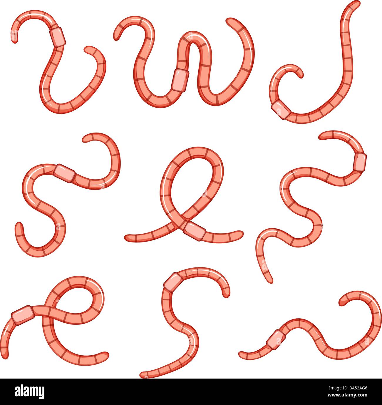 worm set cartoon vector illustration Stock Vector Image & Art - Alamy