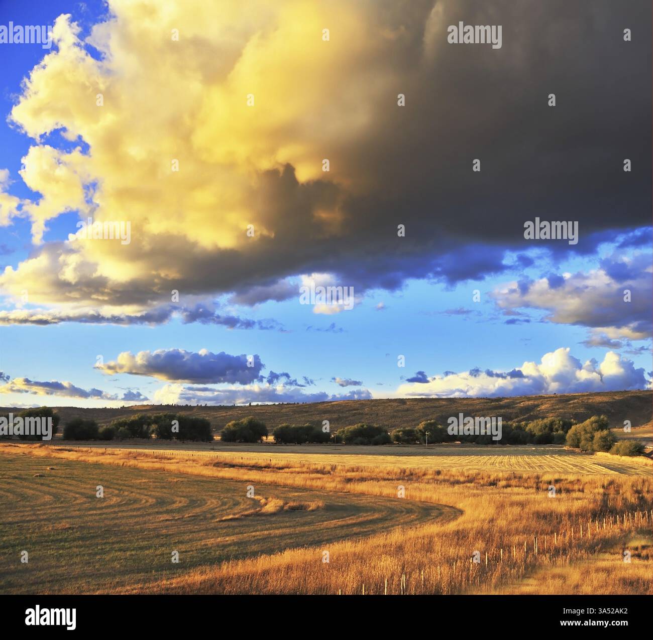 The enormous storm cloud and a flat plain covered in orange sunset. In ...