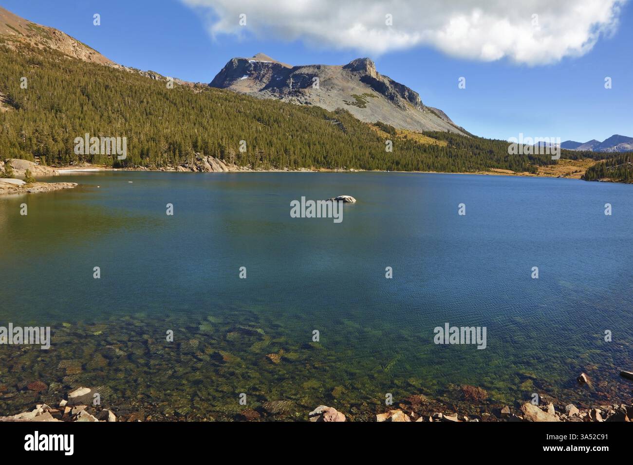Picturesque beach at the shallow lake in the mountains of Tioga Pass ...