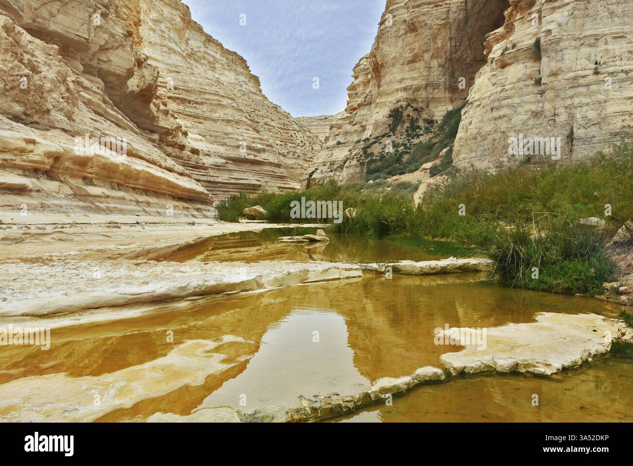 Magnificent canyon and creek. Ein Avdat National Park in the Negev ...