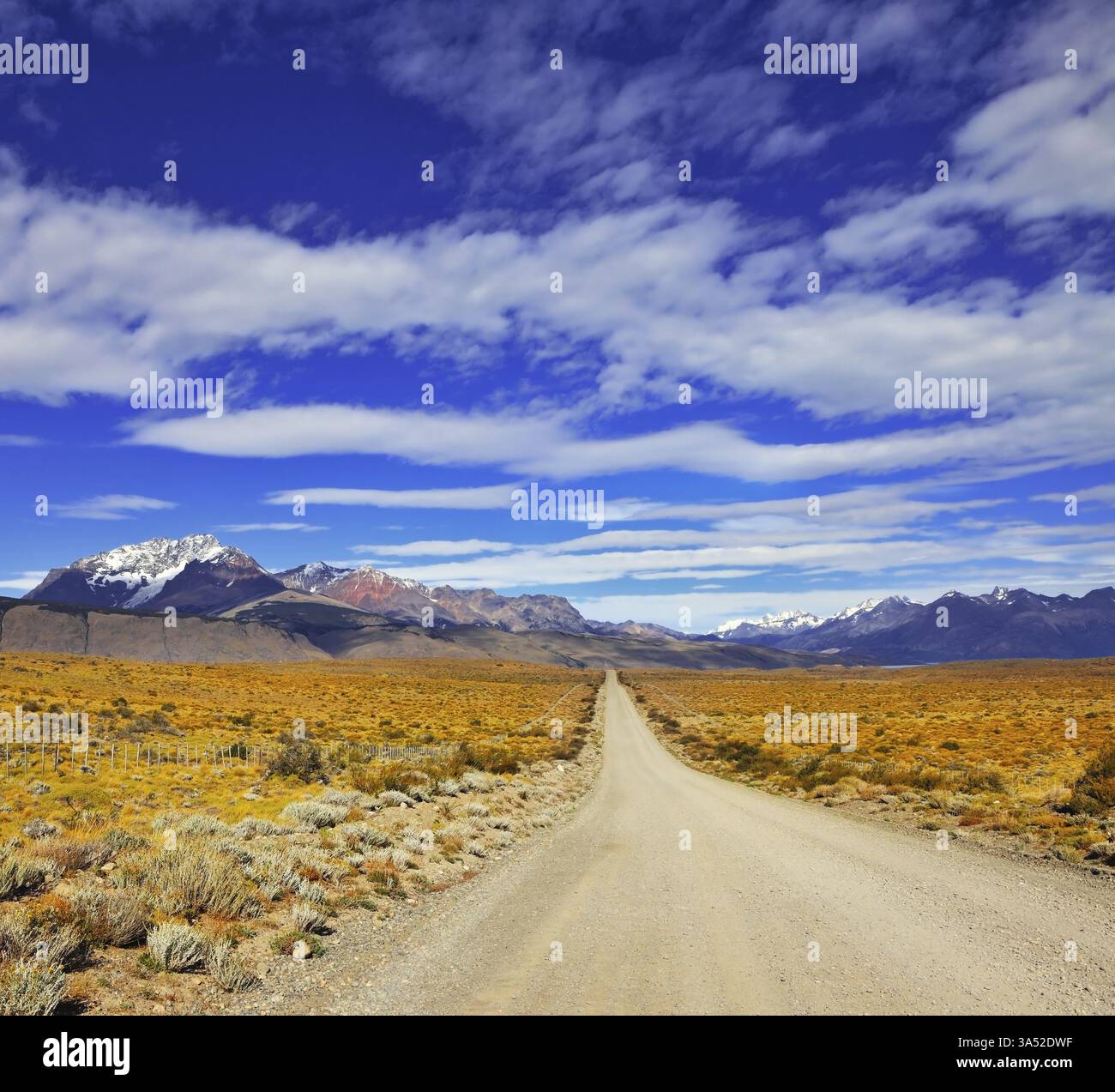 The endless pampas in Patagonia, Argentina. The road in the desert ...