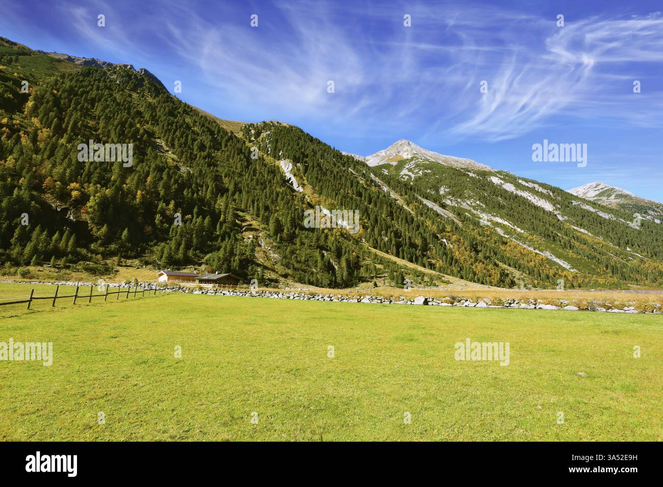 Alpine meadows forests hills hi-res stock photography and images - Alamy