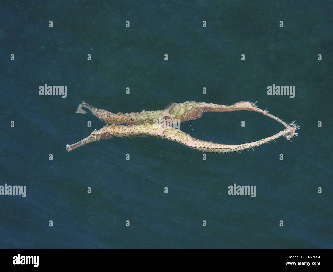 Ind triangular hi-res stock photography and images - Alamy